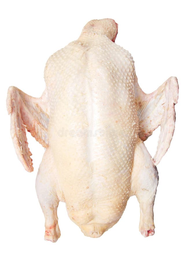 Plucked Goose Stock Photos - Free & Royalty-Free Stock Photos from ...