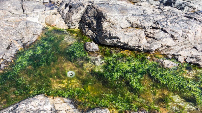 Plug hole stock image. Image of abstract, blue, green - 39941631