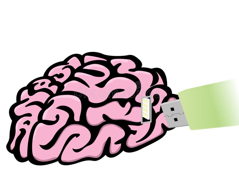 Plug in USB Flash Drive in Brain Stock Illustration - Illustration of ...