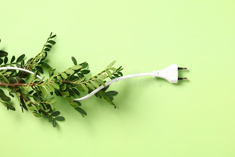 Plug Wire with Branch of Green Leaves on Green Background. Concept of ...