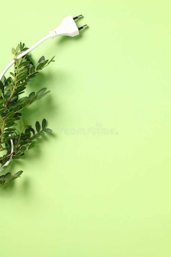 Plug Wire with Branch of Green Leaves on Green Background. the Idea of ...