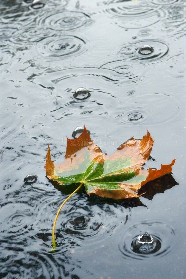 Pluie d'automne image stock. Image du magma, éclabousse - 236689