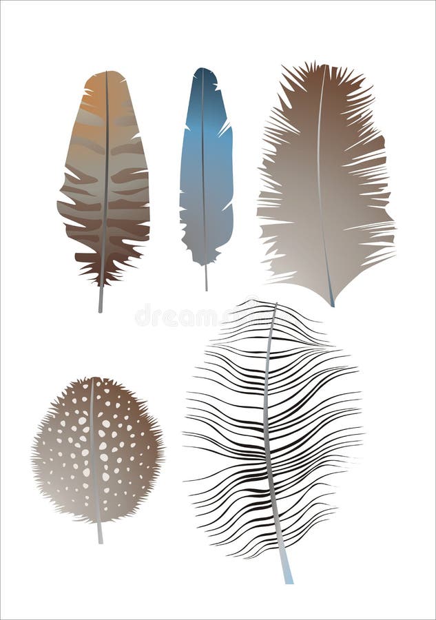 Pluimen vector illustratie. Illustration of nave, inkt - 12773270