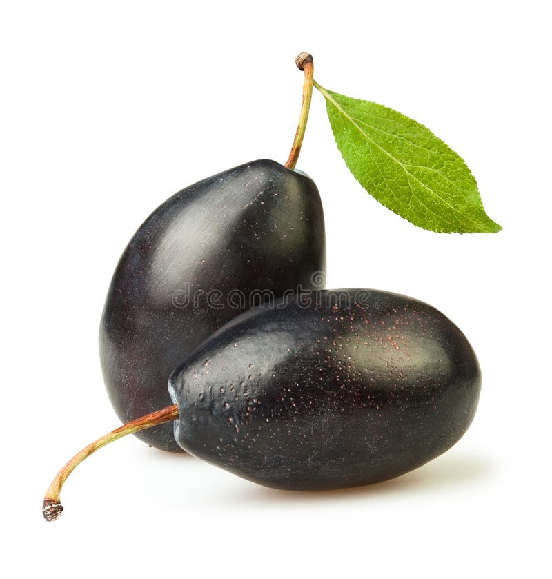 Plum fruit mix stock image. Image of eating, mixture - 33415265