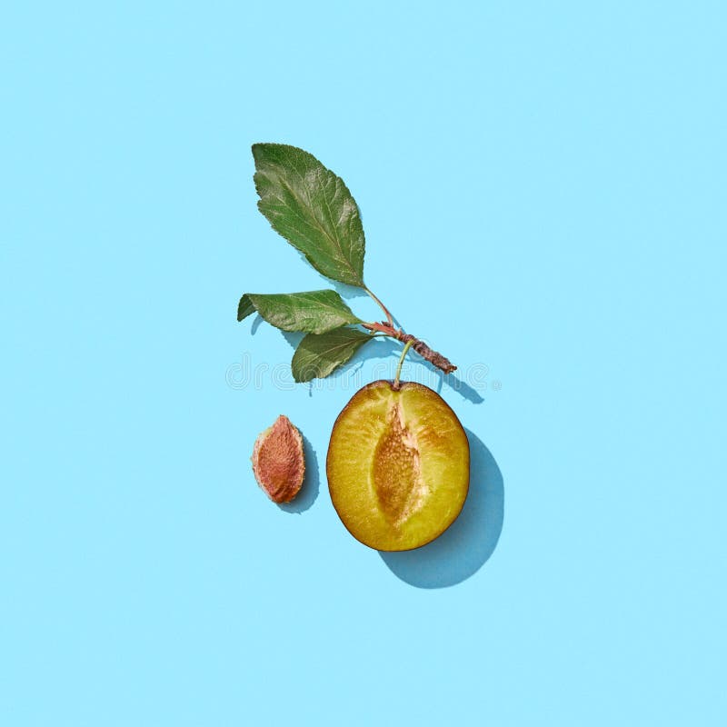 Plum Bone and Half a Plum on a Stalk with Leaves on a Blue Background ...