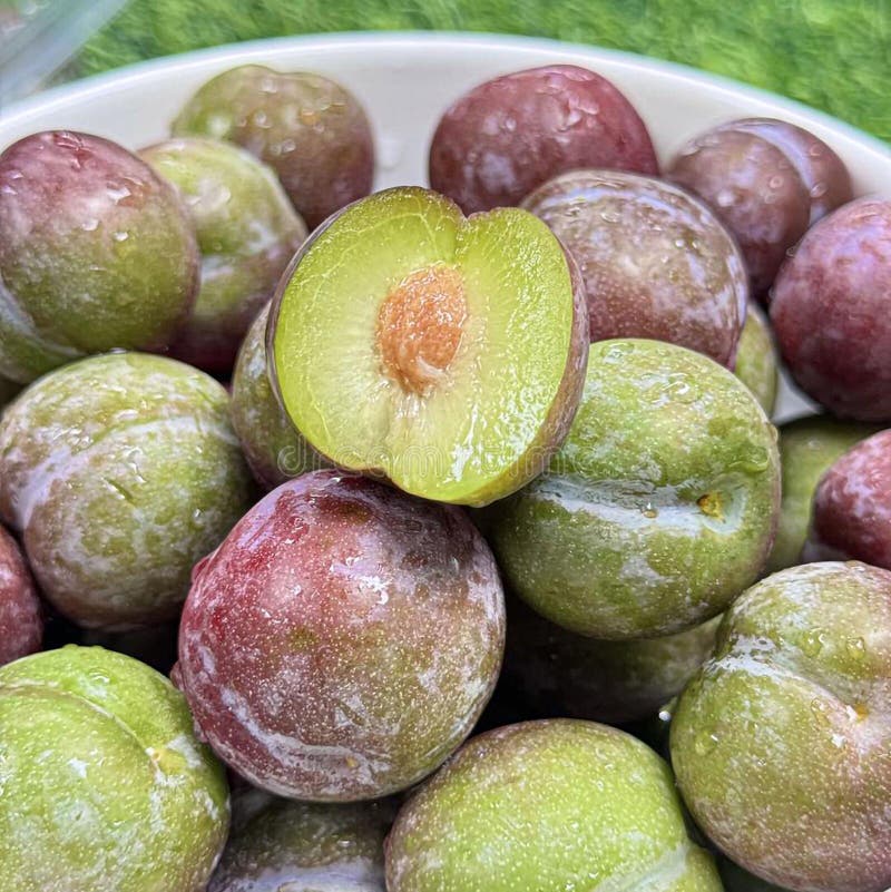 Plum Cherry Doi Fruit, Thai Fruit, Cherry Blossom Tree Stock Image ...