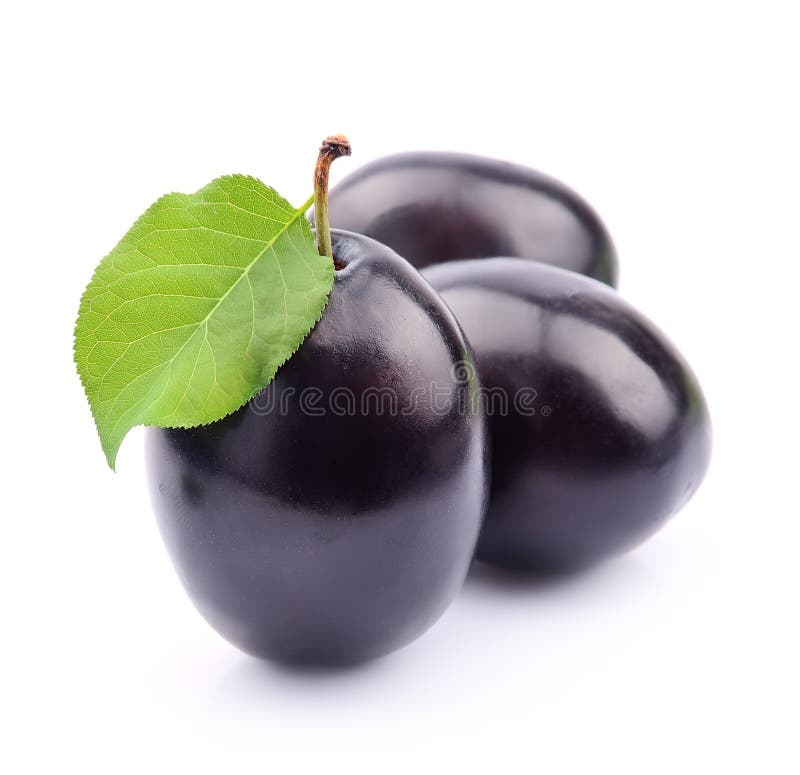 Plum close up stock photo. Image of snack, nature, isolated - 33444620