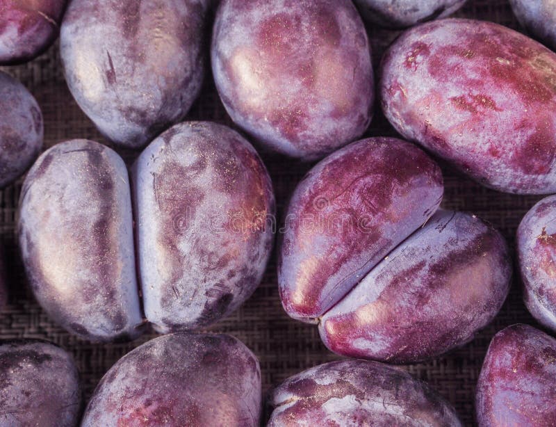 Plum Closeup. Plum in the Shape. Stock Photo - Image of closeup, ripe ...