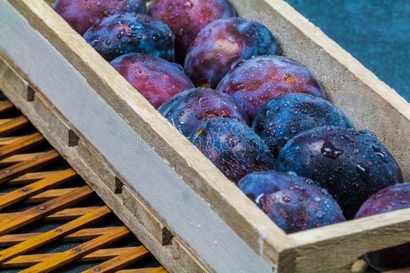 Plum stock photo. Image of tasty, juicy, summer, natural - 99307270