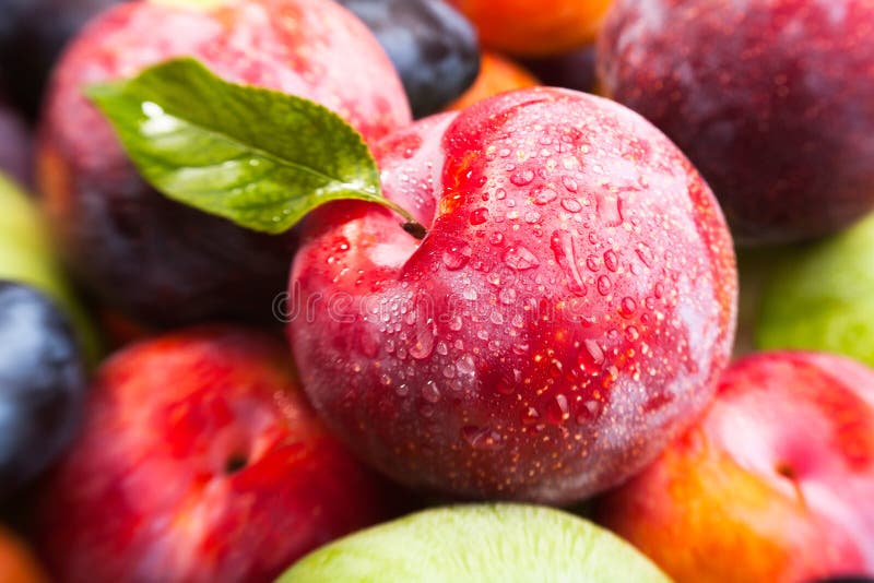 Plum fruit mix stock image. Image of eating, mixture - 33415265