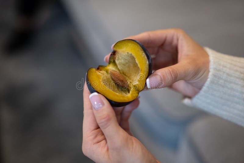 Plum in hands stock image. Image of petal, finger, yellow - 292479601