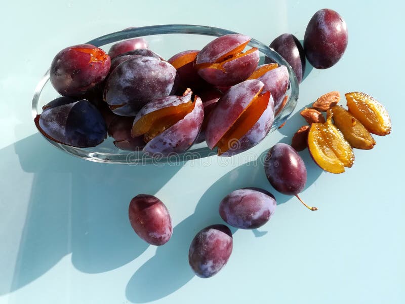 Plum pitter in action stock image. Image of pitter, peasant - 125495083