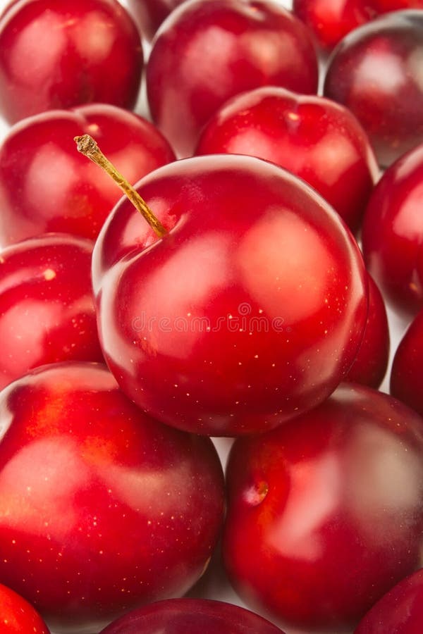 Plum fruit mix stock image. Image of eating, mixture - 33415265