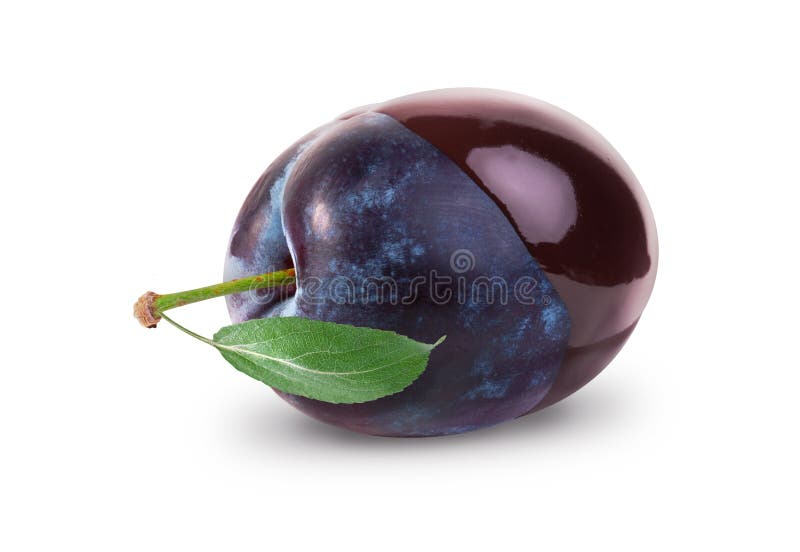 Plum stock image. Image of melting, cocoa, flowing, plums - 89649065