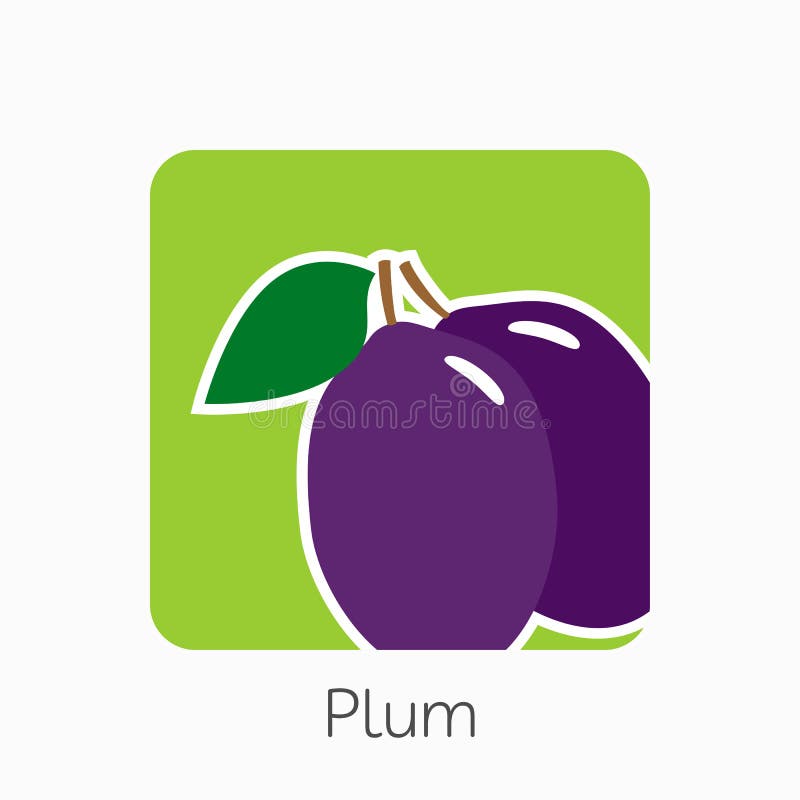 Plum Icon Simple Flat Vector Illustration. Fresh Plum Sign Stock Vector ...