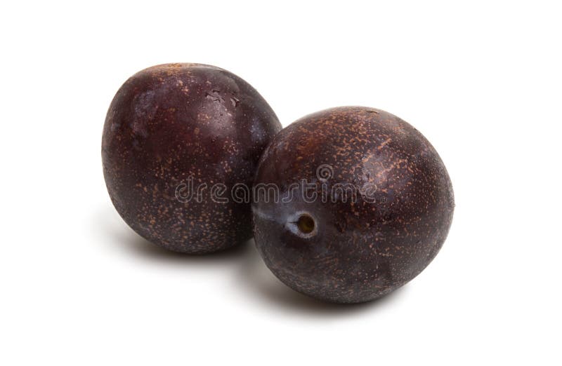 Plum Sweet Tender Fruit Isolated Stock Image - Image of healthy, tender ...