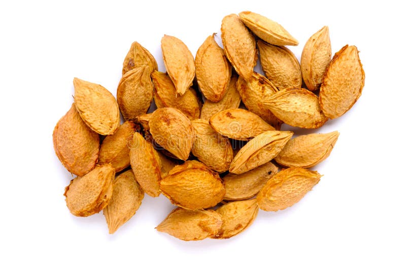 Plum Kernels stock foto. Image of bruin, vegetariër, vrucht - 33800344