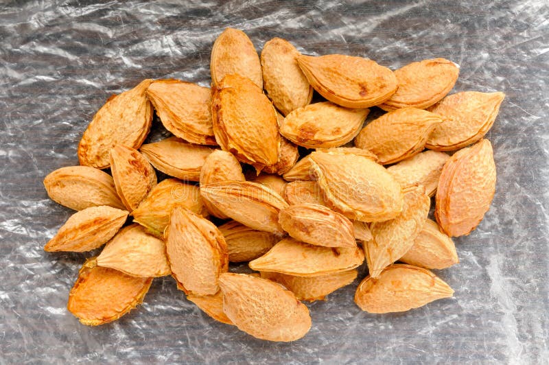 Plum Kernels stockbild. Bild von gruben, pflaume, gesund - 33800689