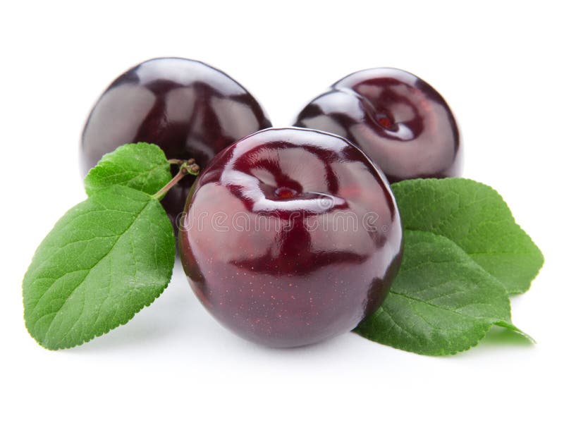 One plum stock image. Image of purple, blue, delicious - 25430559