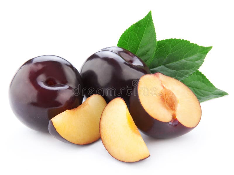 One plum stock image. Image of purple, blue, delicious - 25430559