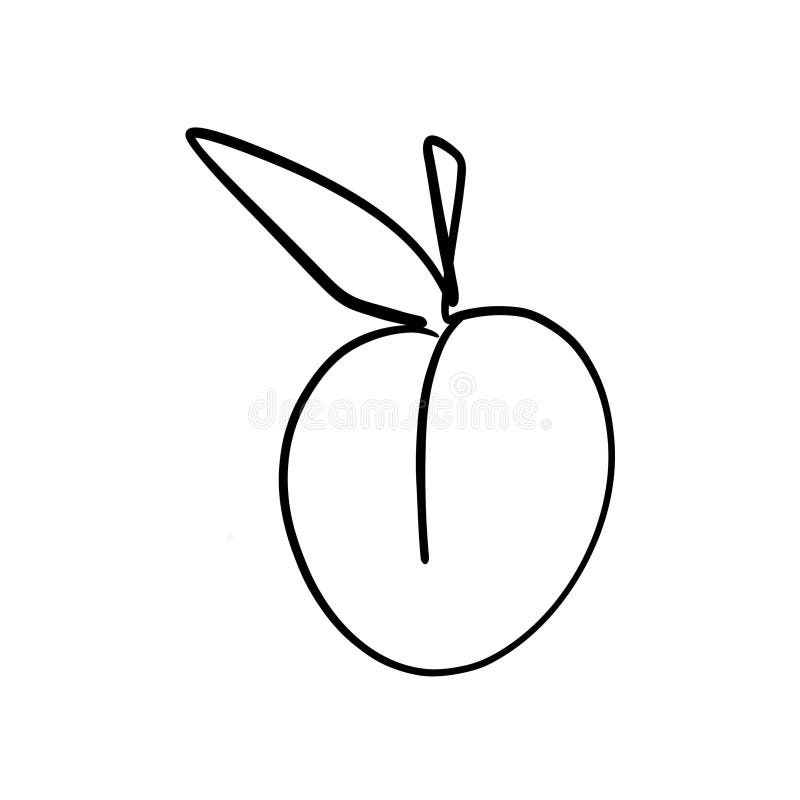 Plum in Line Art Style. One Line Continuous Drawing. Vector Hand Drawn ...
