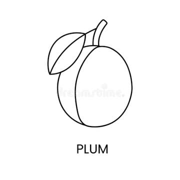 Plum Line Icon in Vector, Fruit Illustration. Stock Vector ...