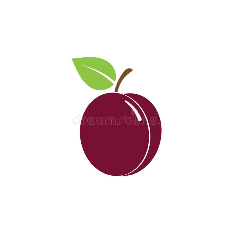 Plum Logo Vector Icon Design Stock Vector - Illustration of isolated ...