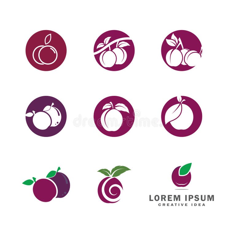 Plum Logo Vector Icon Design Template Stock Vector - Illustration of ...