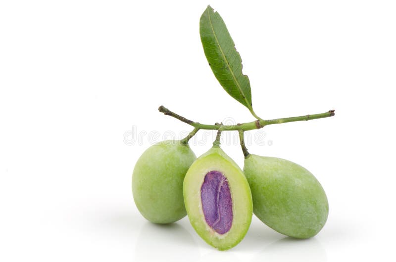 Plum Mango (Bouea Macrophylla Griffith). Stock Photo - Image of ...