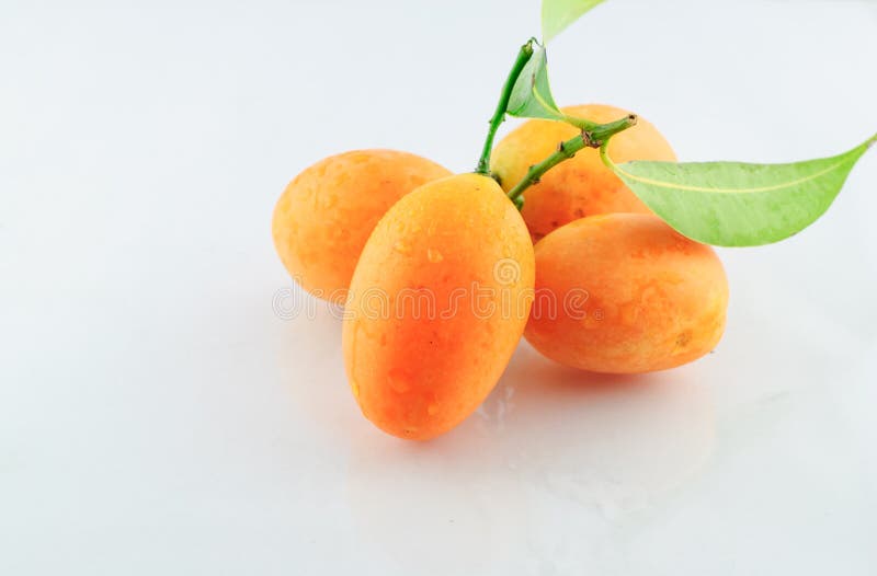 Plum mango stock photo. Image of closeup, agriculture - 52215356