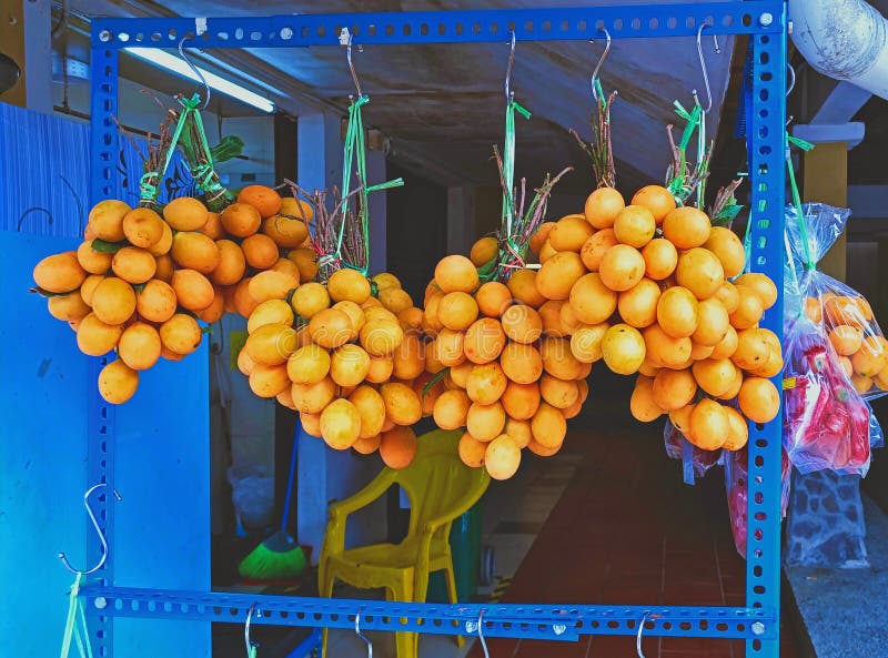 Plum Mango Tropical Fruit Very Sweet Stock Photo - Image of tomato ...