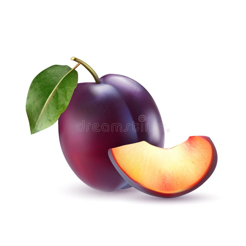 Plum With Stem And Green Leaf Stock Vector - Illustration of healthy ...