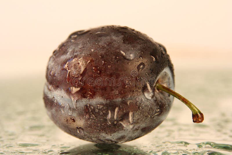 Plum with Moisture stock image. Image of healthy, vitamins - 1738185