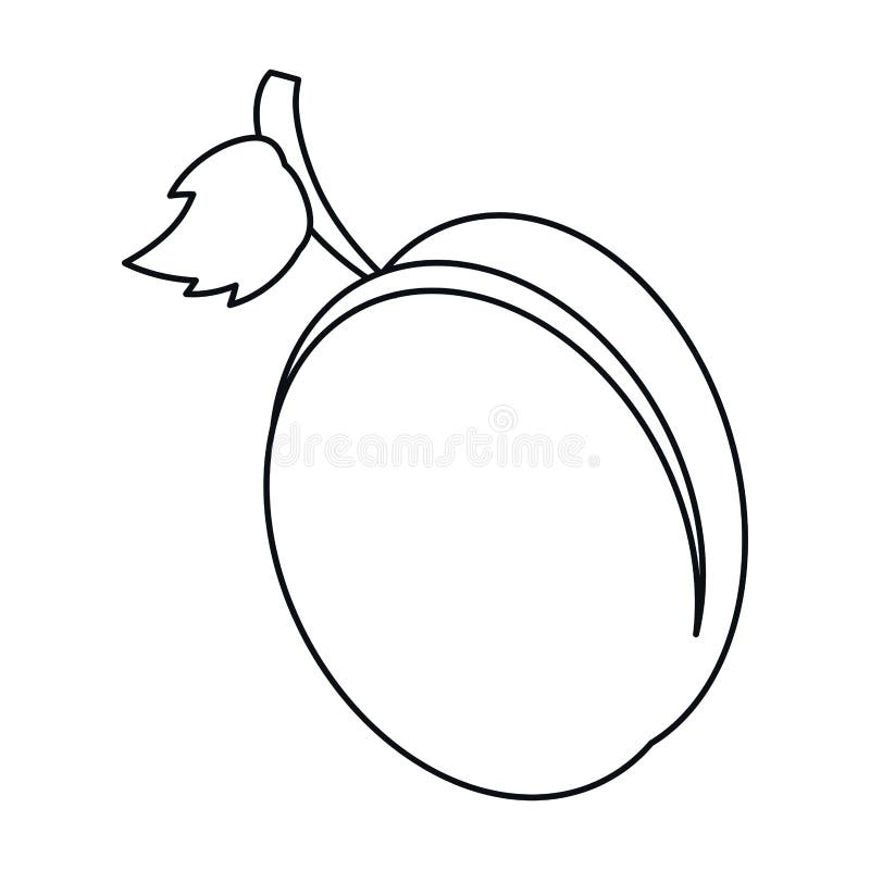 Plum organic fruit outilne stock vector. Illustration of sketch - 82746665