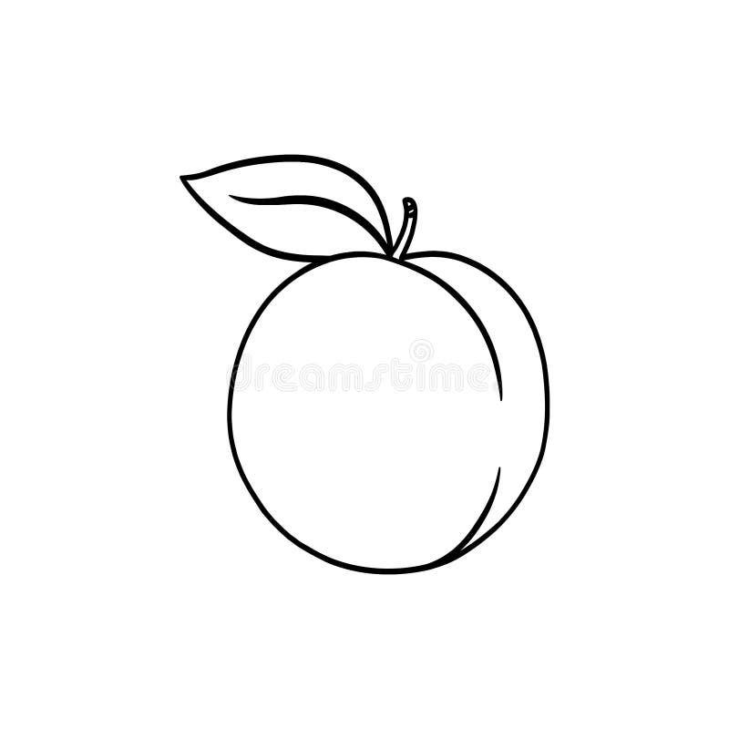 Plum Outline Illustration on White Background Stock Illustration ...