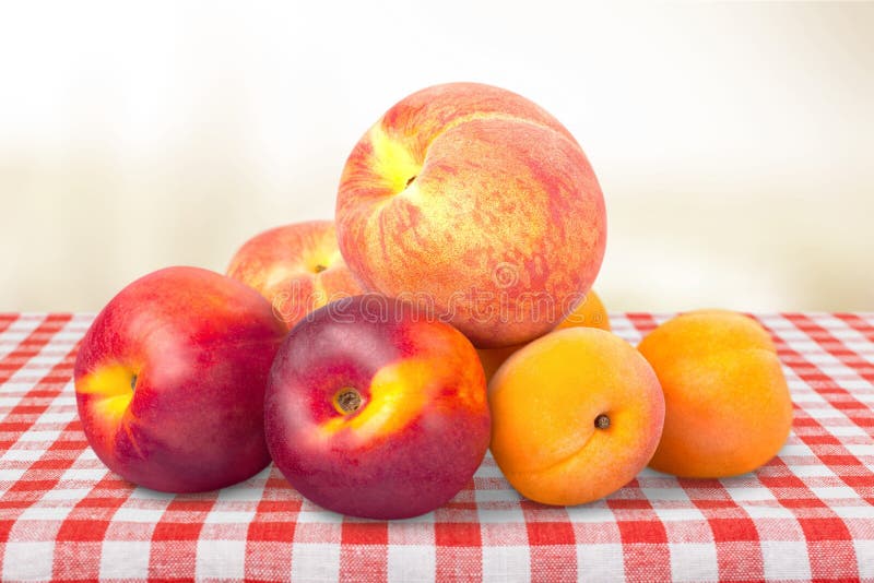 Plum stock photo. Image of stone, apricot, isolated, peaches - 61559288