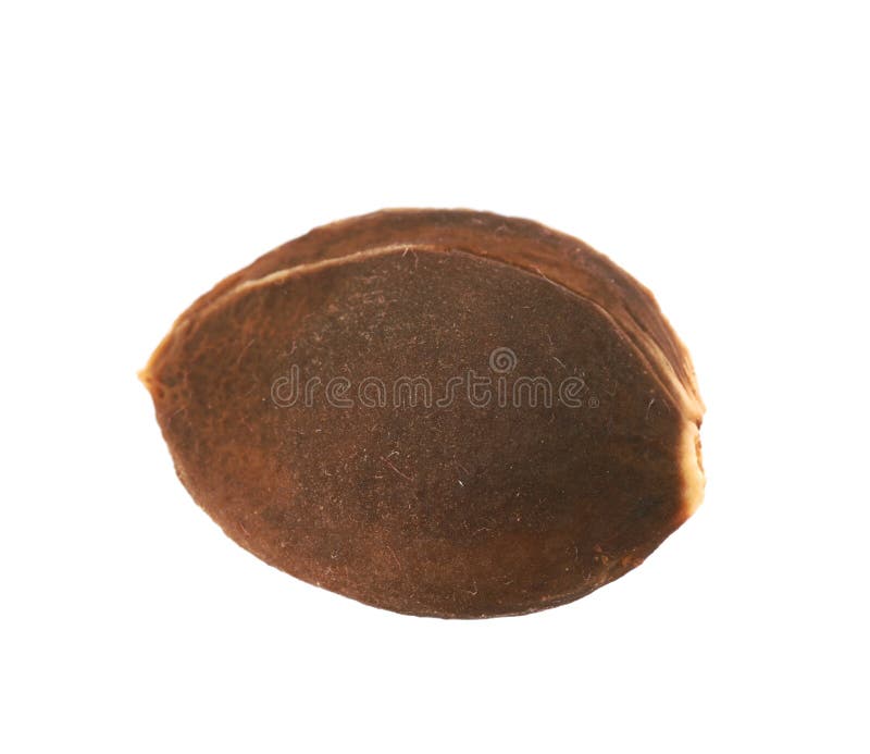 785 Plum Pit Stock Photos - Free & Royalty-Free Stock Photos from ...
