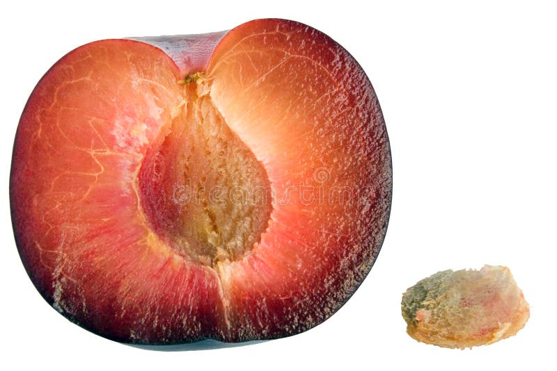 Red plum with stem stock image. Image of blush, health - 190521