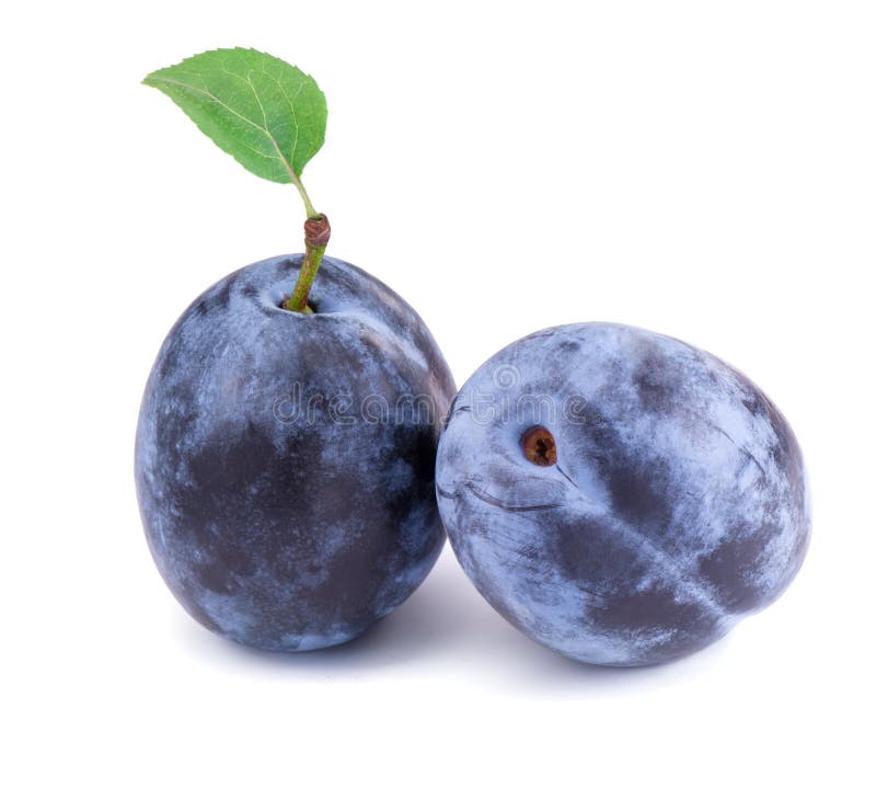 Plums stock image. Image of food, autumn, vegetable, plums - 23753893