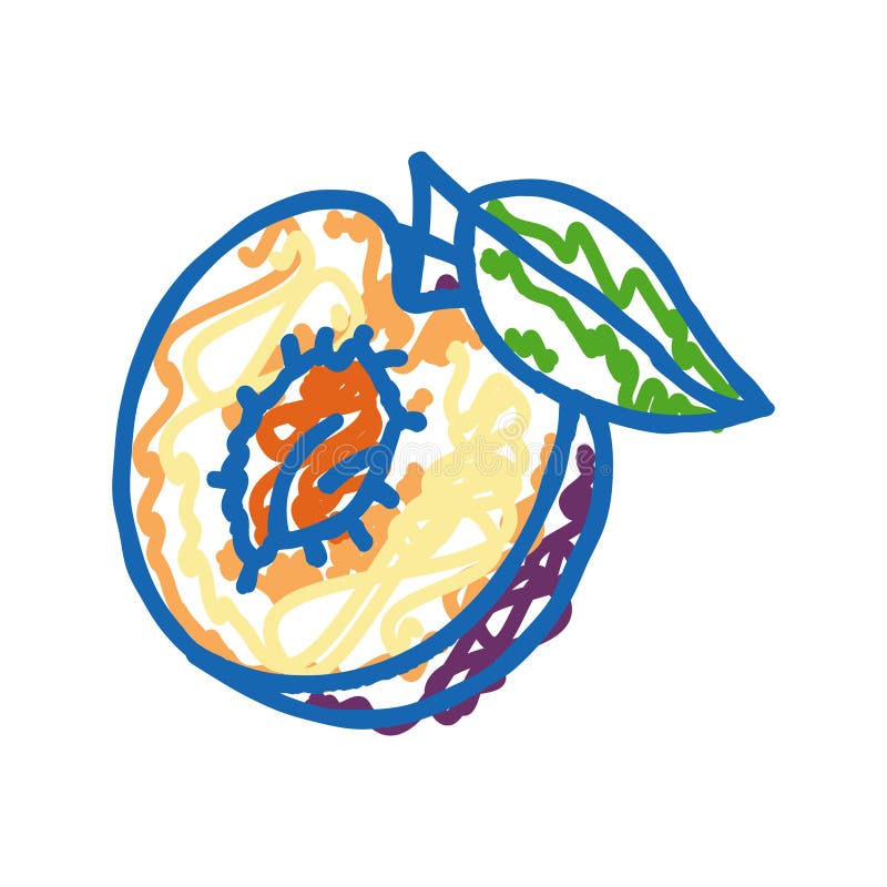 Plum Seed Cut Leaf Icon Doodle Illustration Stock Vector - Illustration ...