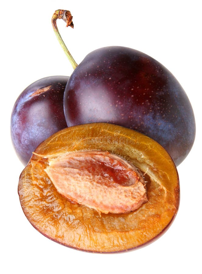 Plum set closeup stock photo. Image of healthy, gourmet - 3076142