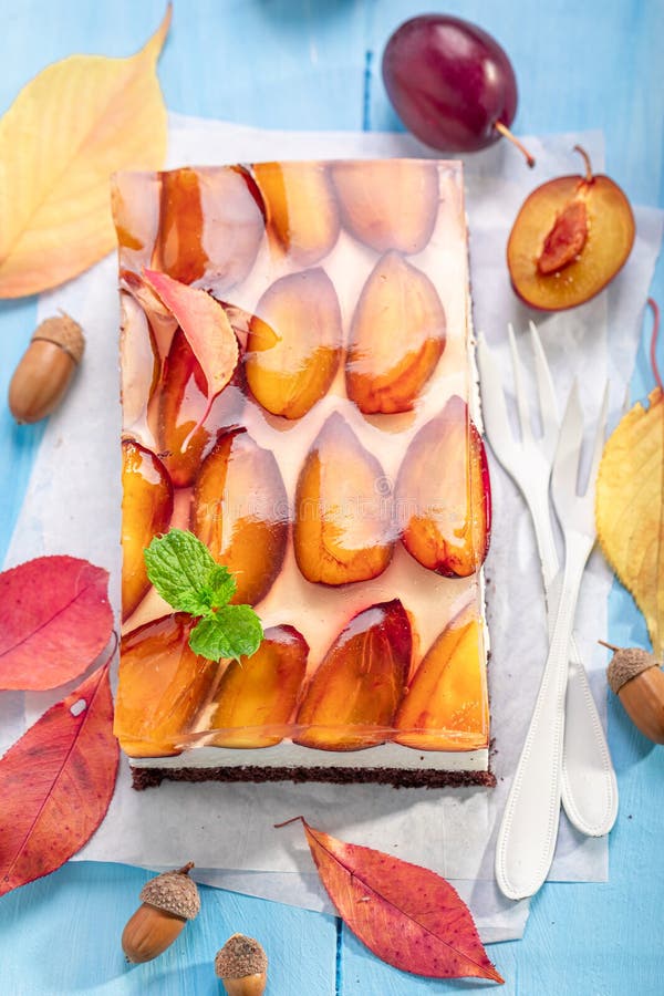 Plum Sponge Cake Made of Chocolate, Cream and Fruits Stock Photo ...