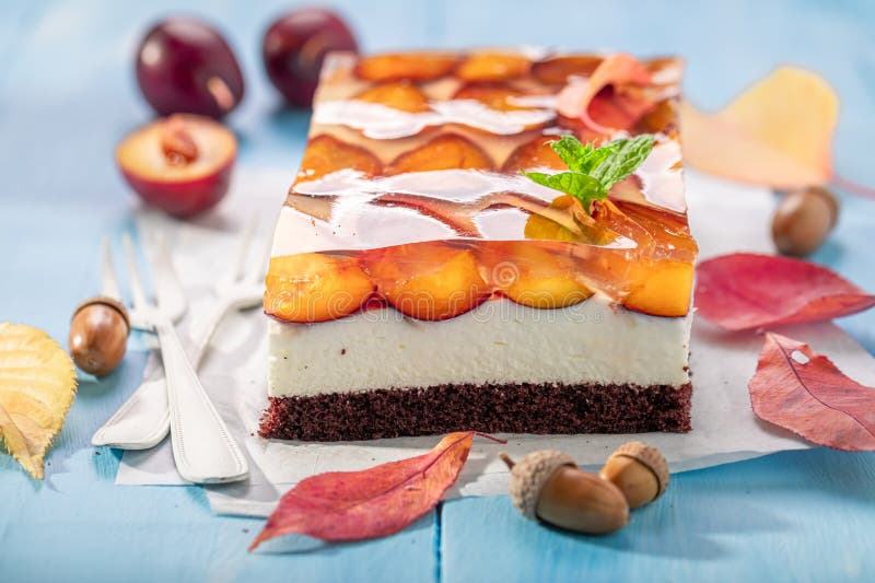 Plum Sponge Cake Made of Cream, Chocolate and Fruits Stock Image ...