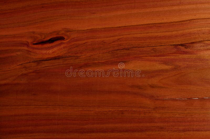 Plum wood veneer texture stock photo. Image of grain - 18614718