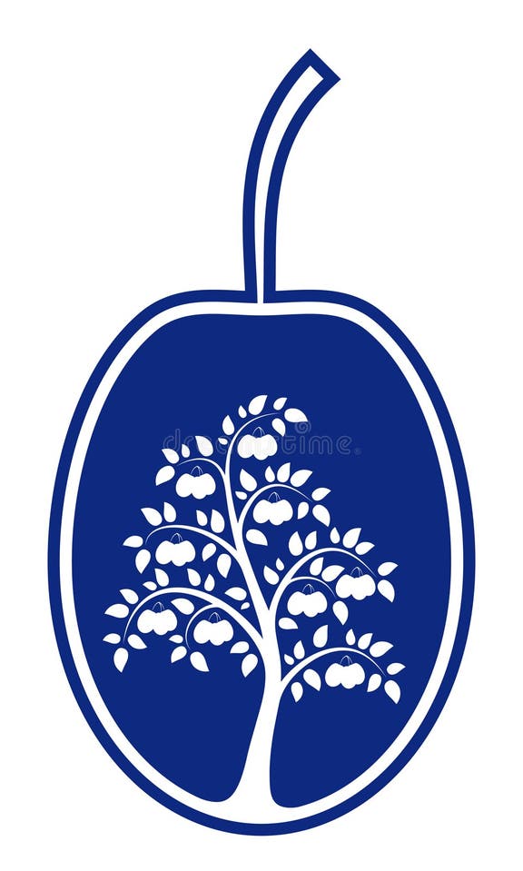 Plum tree in plum stock vector. Illustration of drupe - 18545372