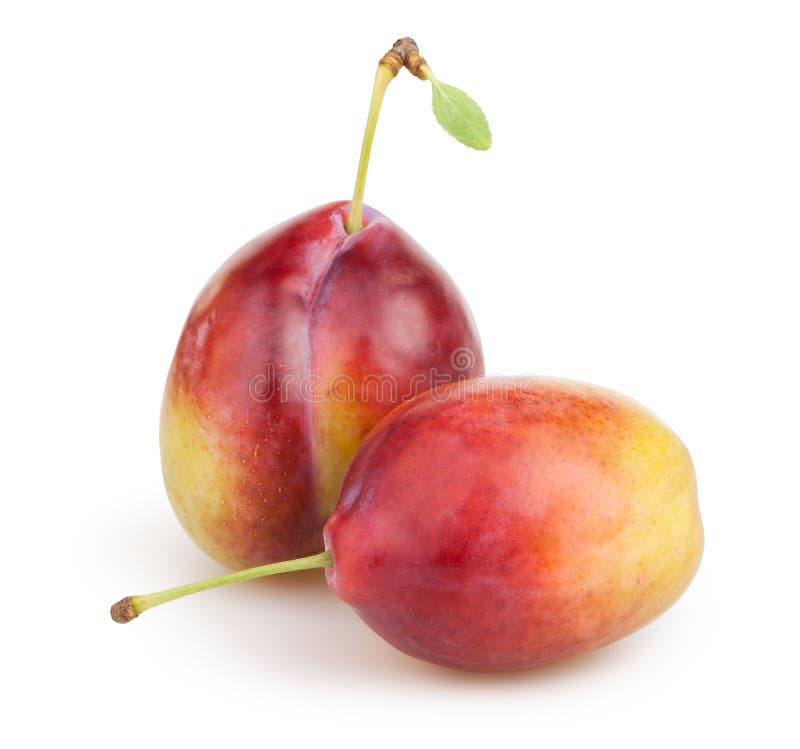 Plum two stock image. Image of healthy, antioxidant, plum - 32512277