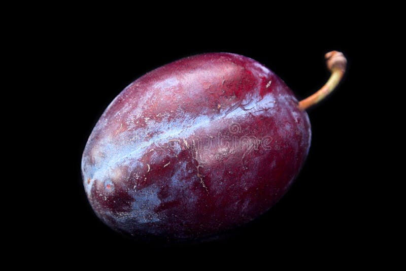 Plum vegetable on black stock image. Image of prune, purple - 44378195