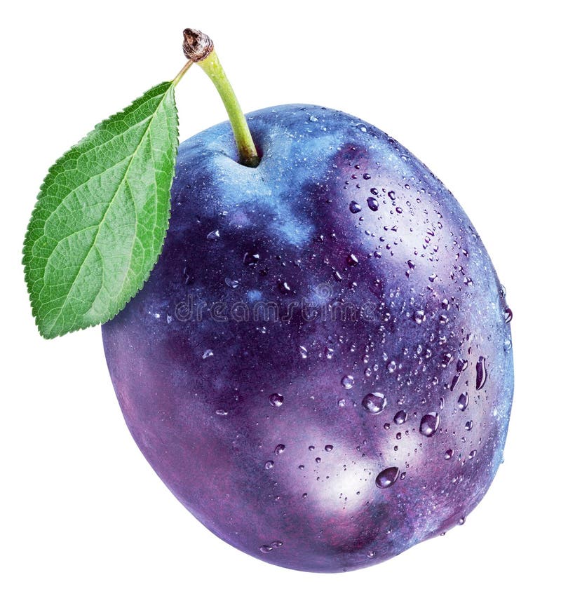 Plum with Water Drops. File Contains Clipping Path Stock Photo - Image ...