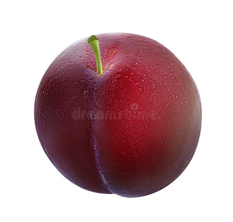 Plum on a white stock photo. Image of tasty, healthy - 88443262