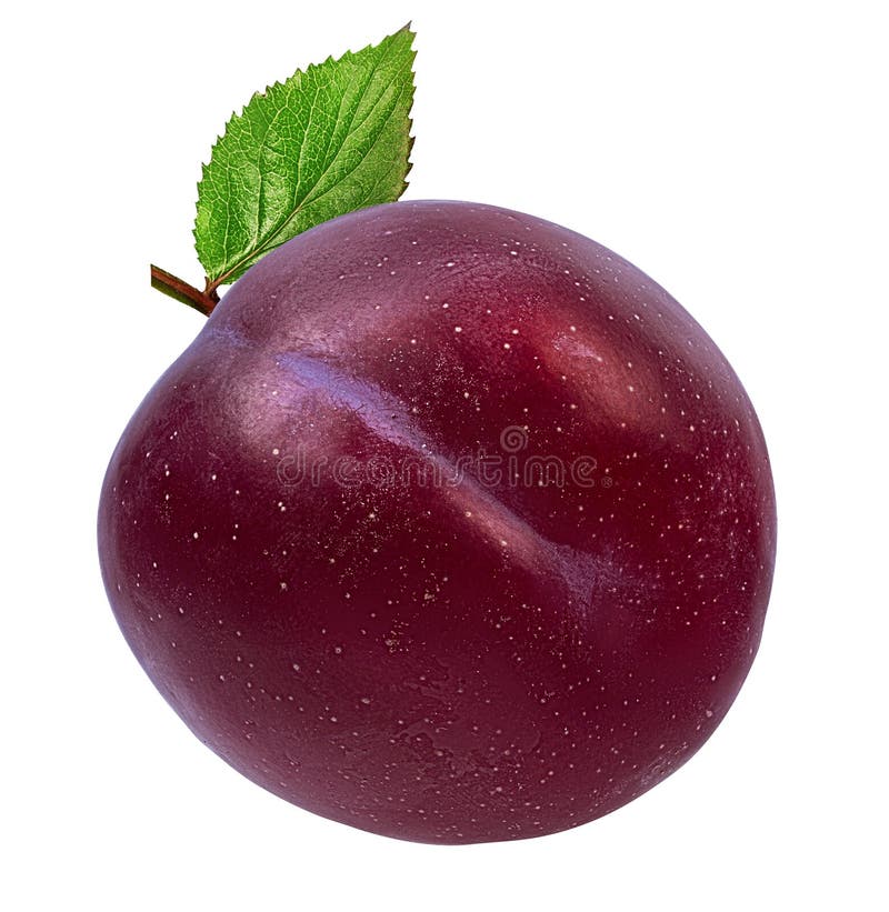 Plum on a white stock image. Image of healthy, juicy - 111057179